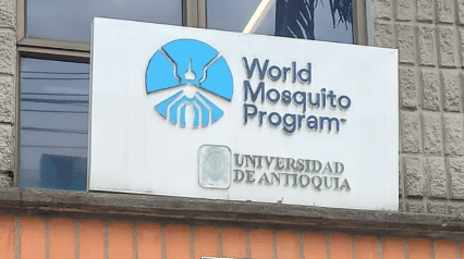 Proyectos financiados